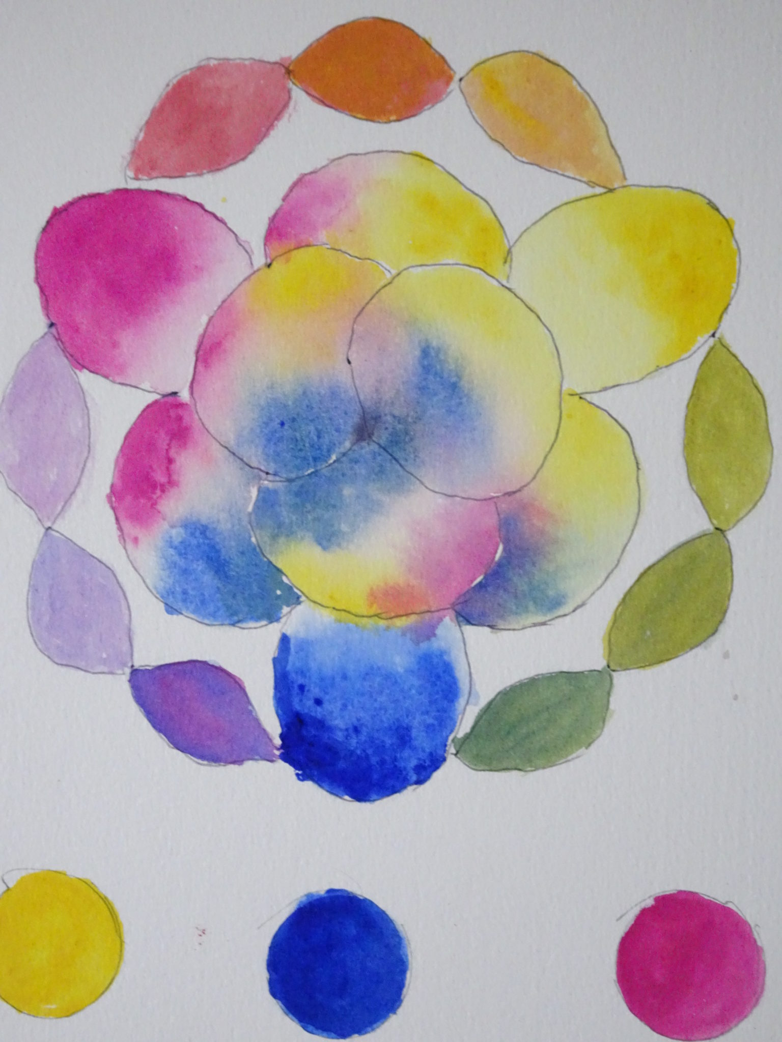 Colour me Garden – Gardeners Tips