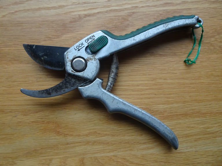 Secateurs and Why I Choose Them – Gardeners Tips