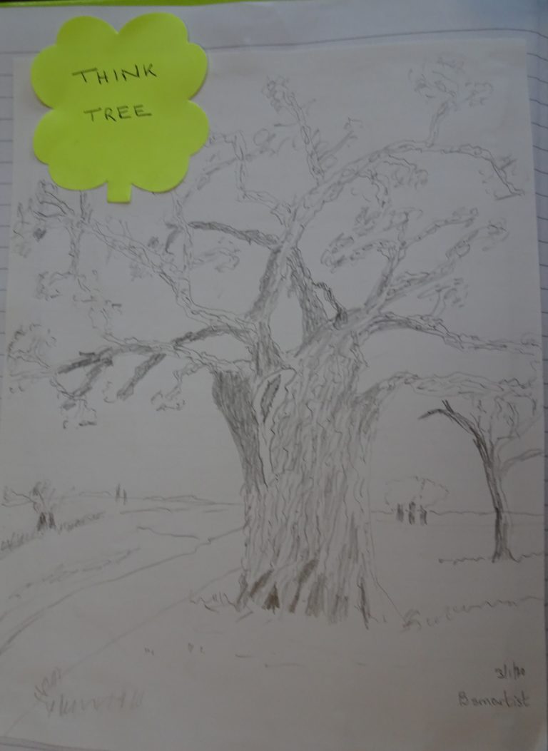 The Thinking Tree’s Life Cycle – Gardeners Tips